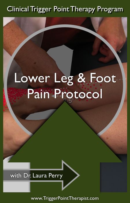 Trigger Point Therapy DVD-Video: Lower Leg Pain, Foot Pain, Ankle Pain, Calf Pain, Achilles ...