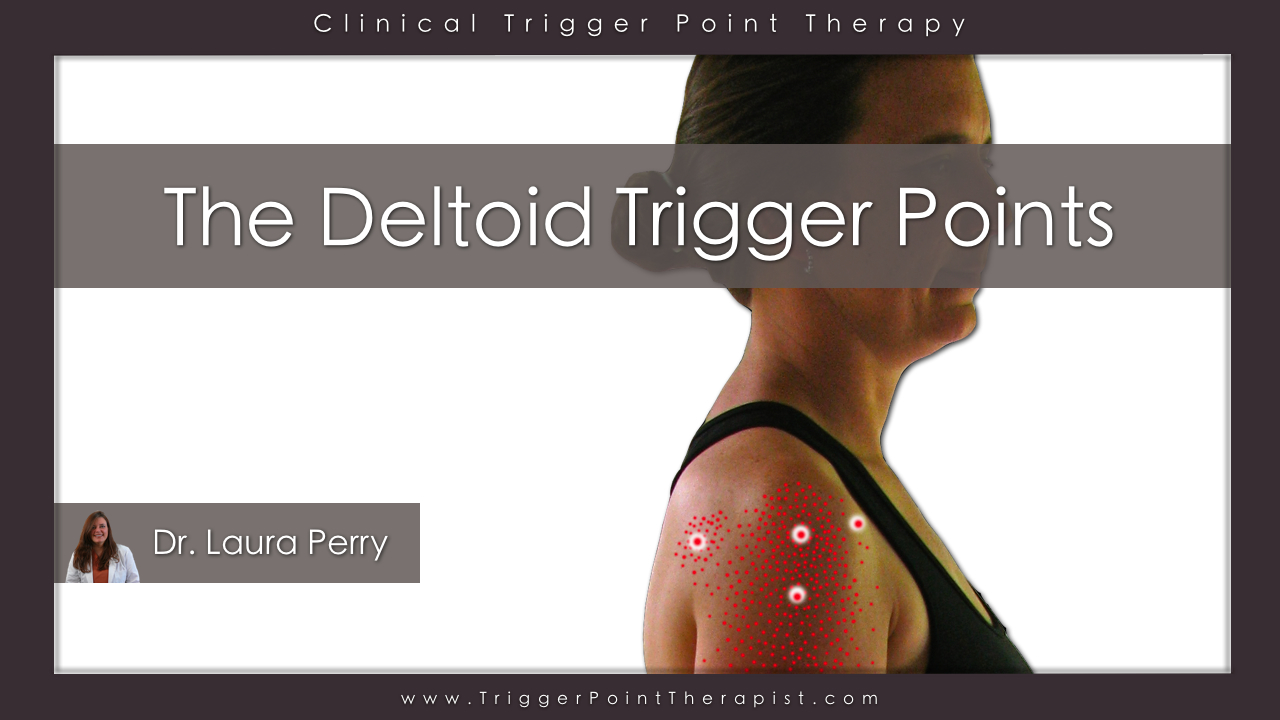 Deltoid Trigger Points: What You See Is What You Get | TriggerPointTherapist.com