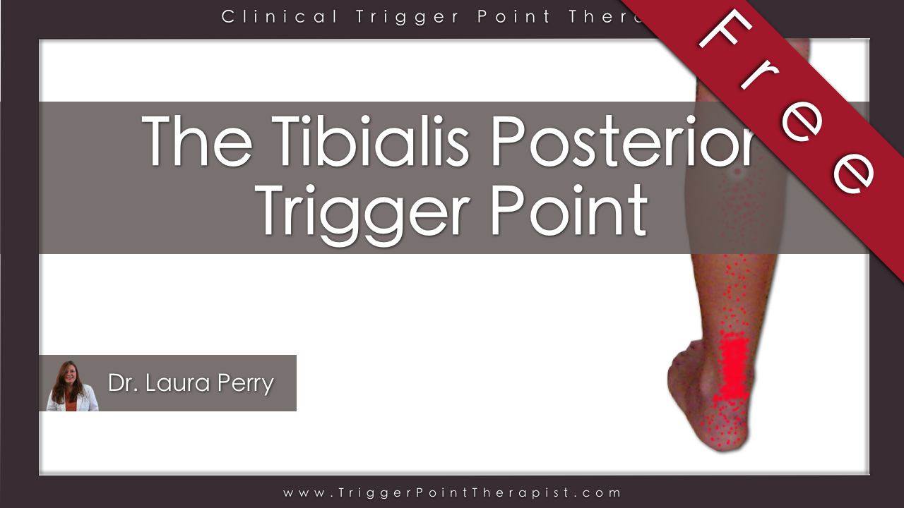 Trigger Point Video for Tibialis Posterior Muscle ...