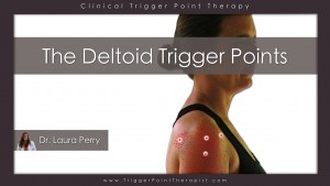 The Deltoid Trigger Points: What You See Is What You Get ...