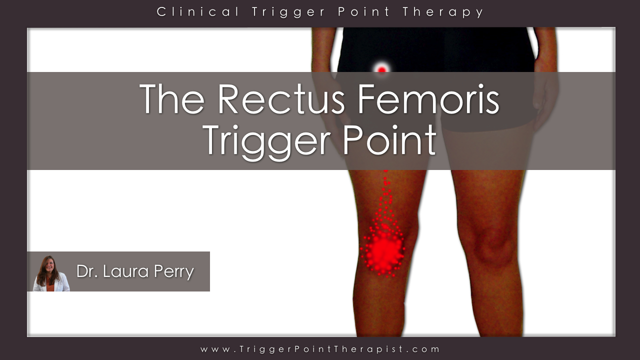 Trigger Point Video for Quadricep Muscles | TriggerPointTherapist.com